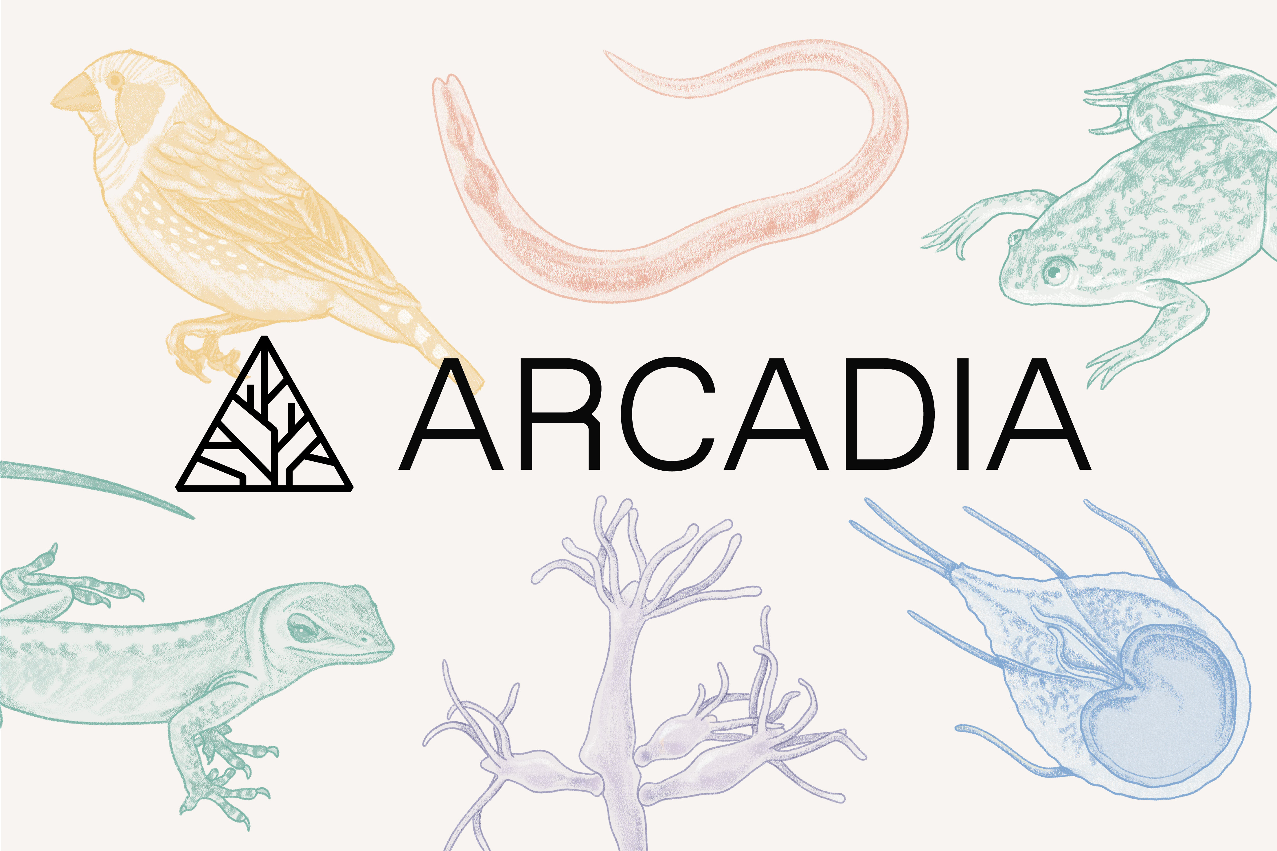 Arcadia Biosciences Logo